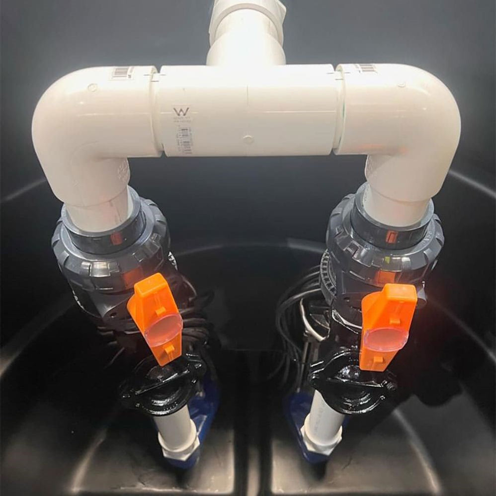 Bianco Pumpz Store Australia | Buy Online