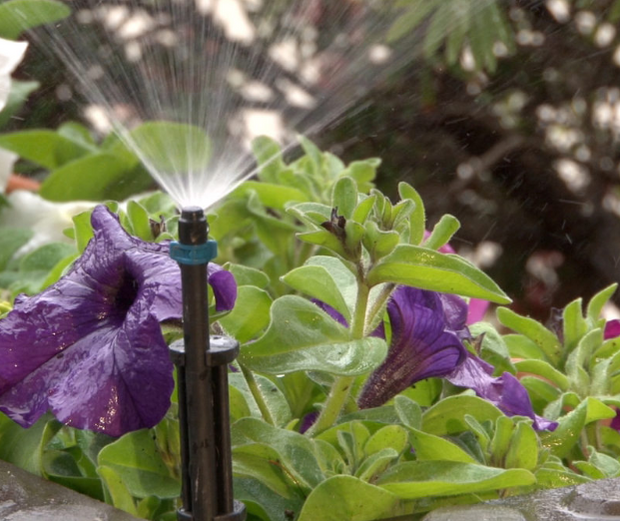 Antelco Micro Sprays & Jets | Shop Online