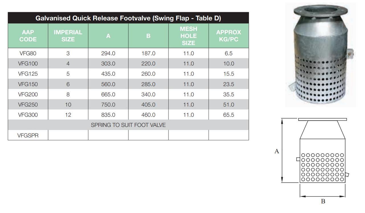 Galvanised Foot Valve for Pumps with Strainer - Table D Flanged