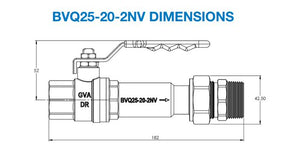 AVG 20mm Brass Double Check Valve with Isolation for Mains Water