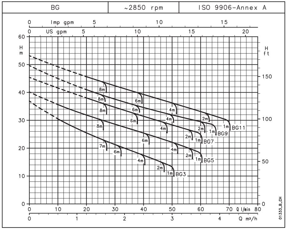 Lowara BG(M) Self Priming Shallow Well Jet Pumps | Shop Online