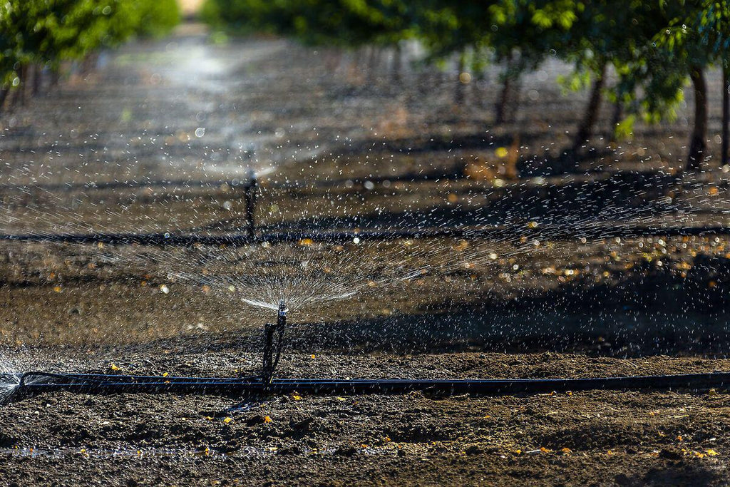 Nelson Irrigation Australia | Shop Online