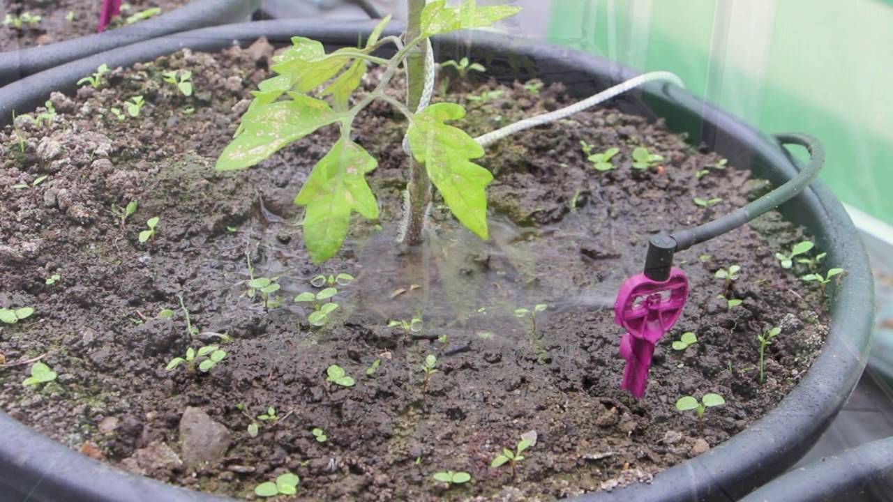 Spray Stakes & Pot Irrigation | Shop Online